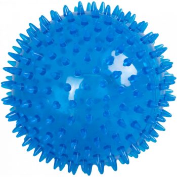 Sharples N Grant Flash Spikey Ball Dog Toy Blue | Chelsea Pet Shop